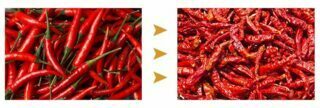 Chili Drying Machine | Chili Dryer | Pepper Drying Equipment