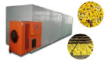Chrysanthemum flowers dryer | Flower drying machine