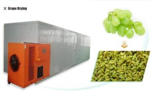 Grapes Dryer | Grapes Drying Machine